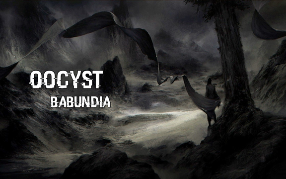 Record Oocyst - Cytoid